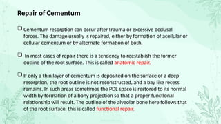 CEMENTUM anatomy and histology in oral anatomy | PPTX