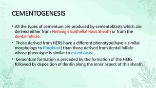 CEMENTUM anatomy and histology in oral anatomy | PPTX