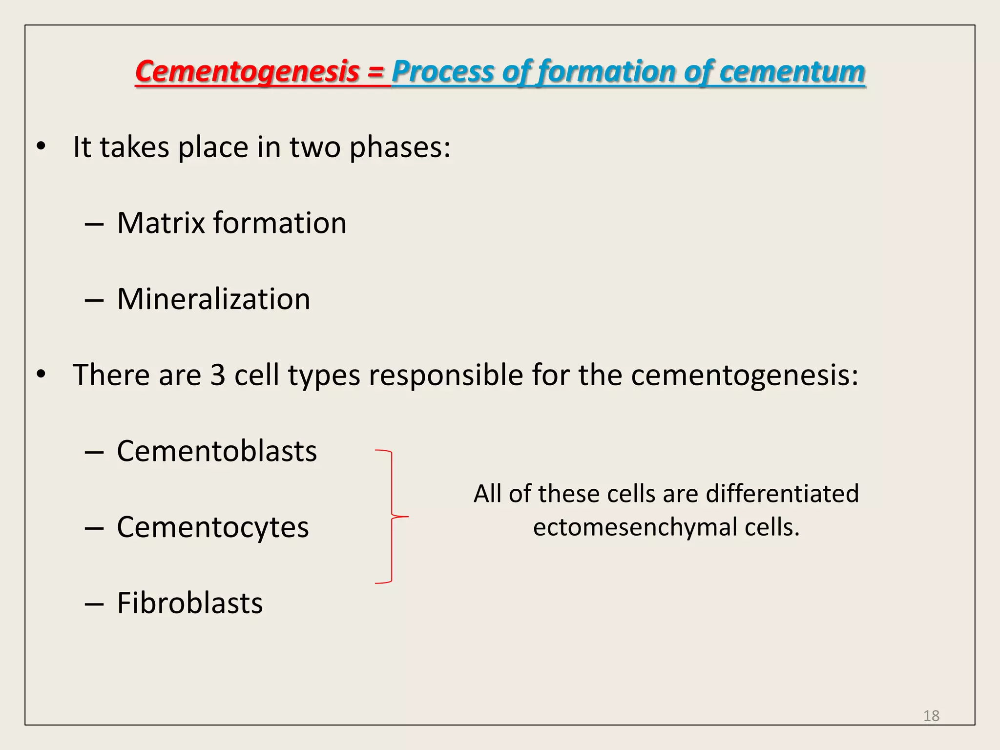 cementum - raghu.pptx