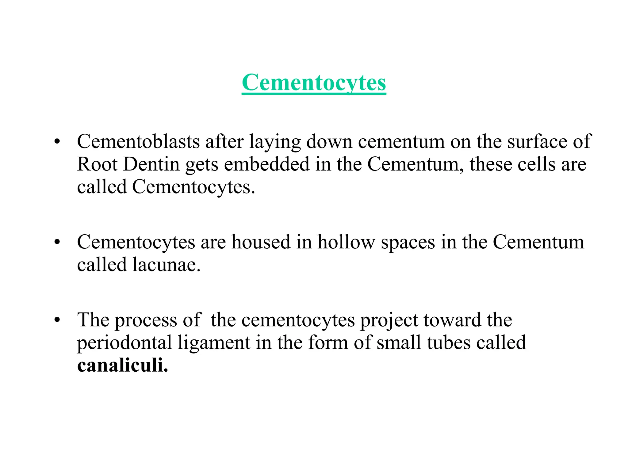 Histology, Development of Cementum of Oral Cavity | PPT