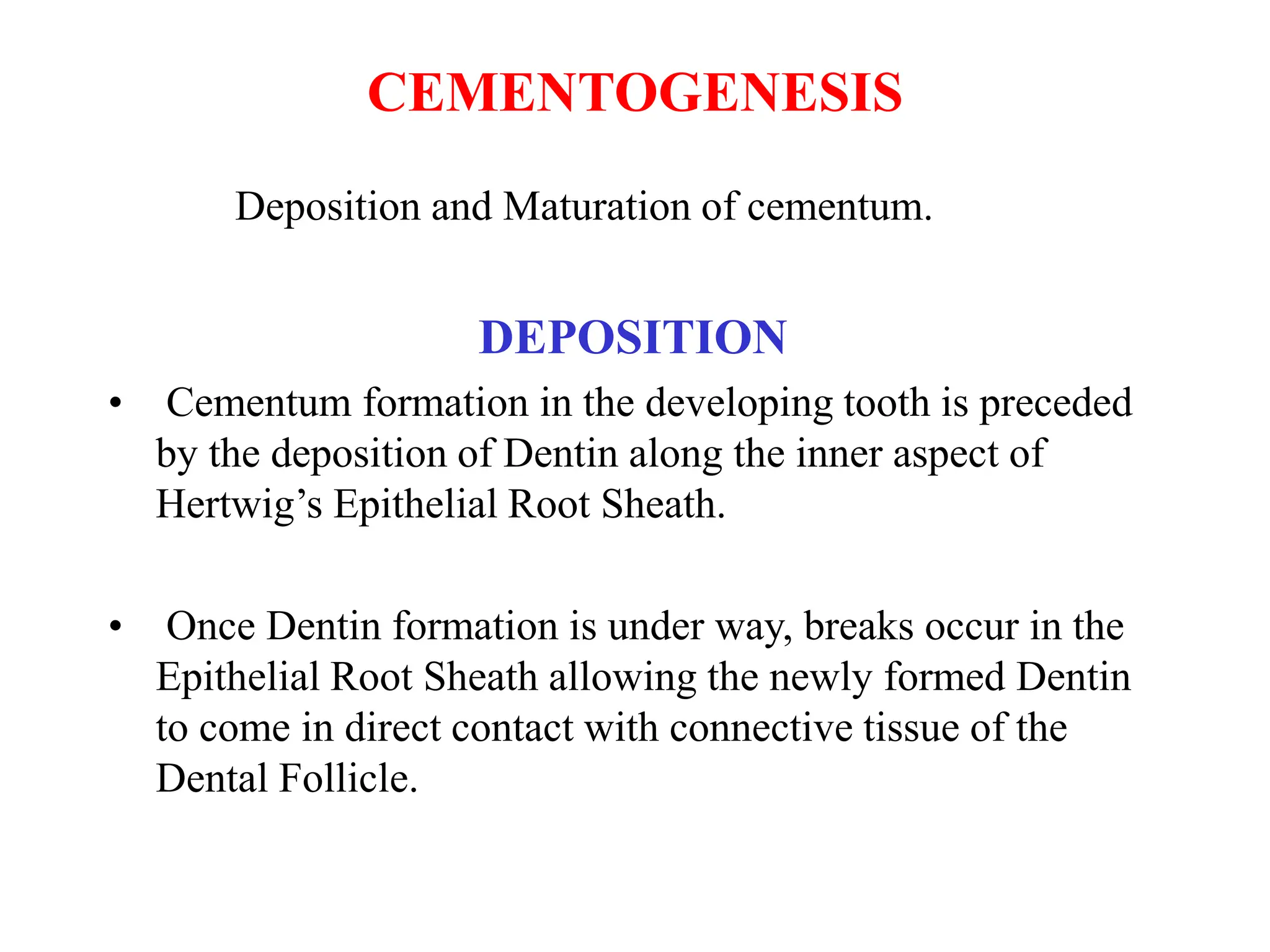 Histology, Development of Cementum of Oral Cavity | PPT
