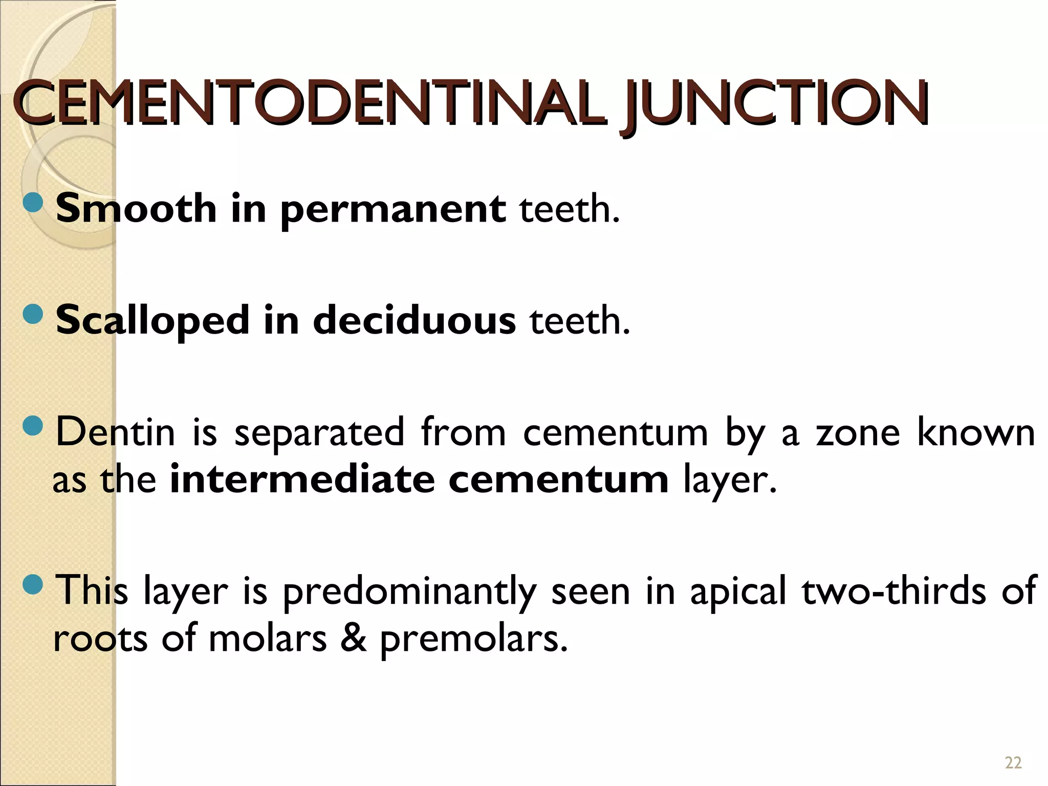 Cementum | PPT