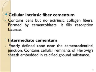Cementum | PPT