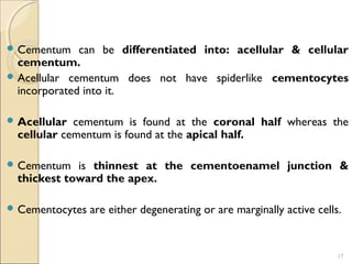 Cementum | PPT