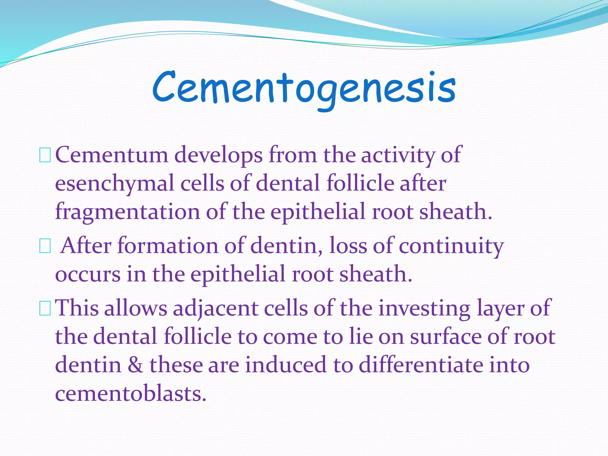 cementum1-141012163428-conversion-gate01.pdf