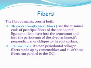 cementum1-141012163428-conversion-gate01.pdf