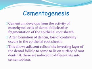 cementum1-141012163428-conversion-gate01.pdf