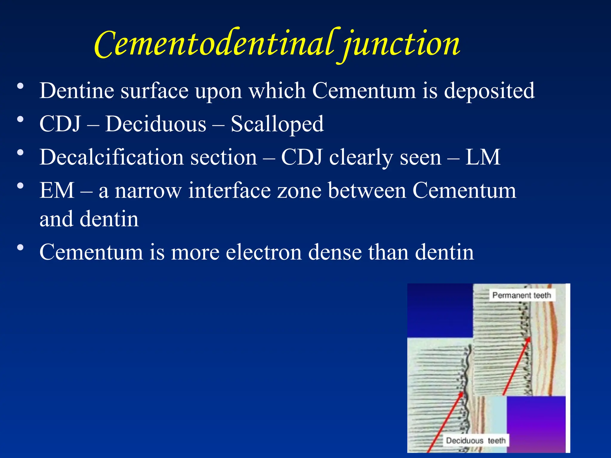 Cementum 10 (1) presentation from dadh.ppt