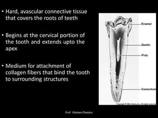 Cementum (1) (1).pptx