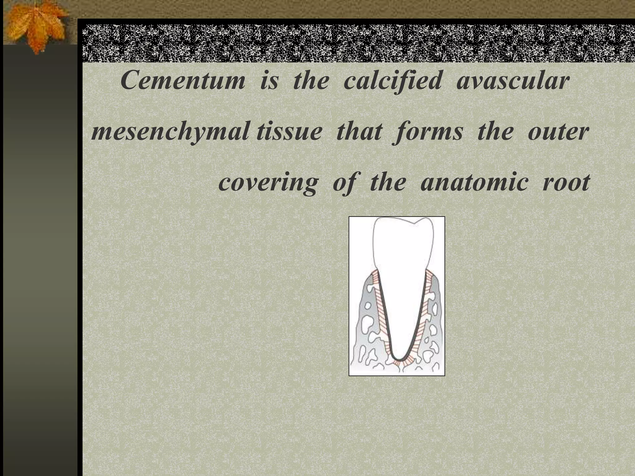 CEMENTUM & AL.BONE.ppt