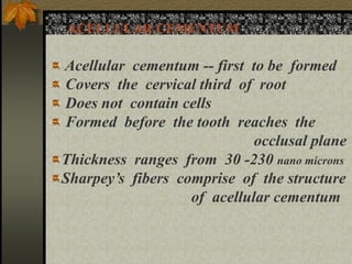 CEMENTUM & AL.BONE.ppt