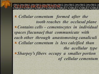 CEMENTUM & AL.BONE.ppt