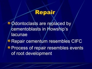 Cementum and alveolar in periodontology.ppt