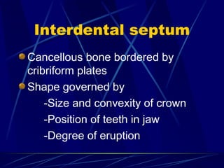 Cementum and alveolar in periodontology.ppt
