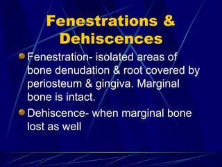 Cementum and alveolar in periodontology.ppt