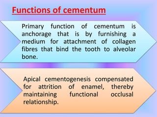CEMENTUM by Danish Hamid.pptx
