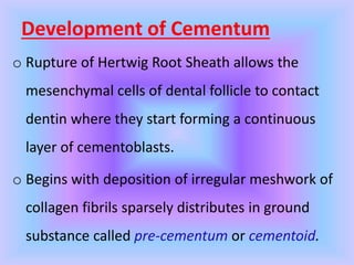 CEMENTUM by Danish Hamid.pptx