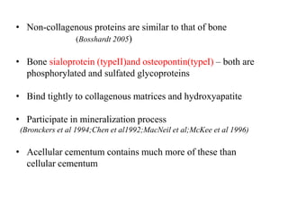 cementum by dr. ishu singla.pptx