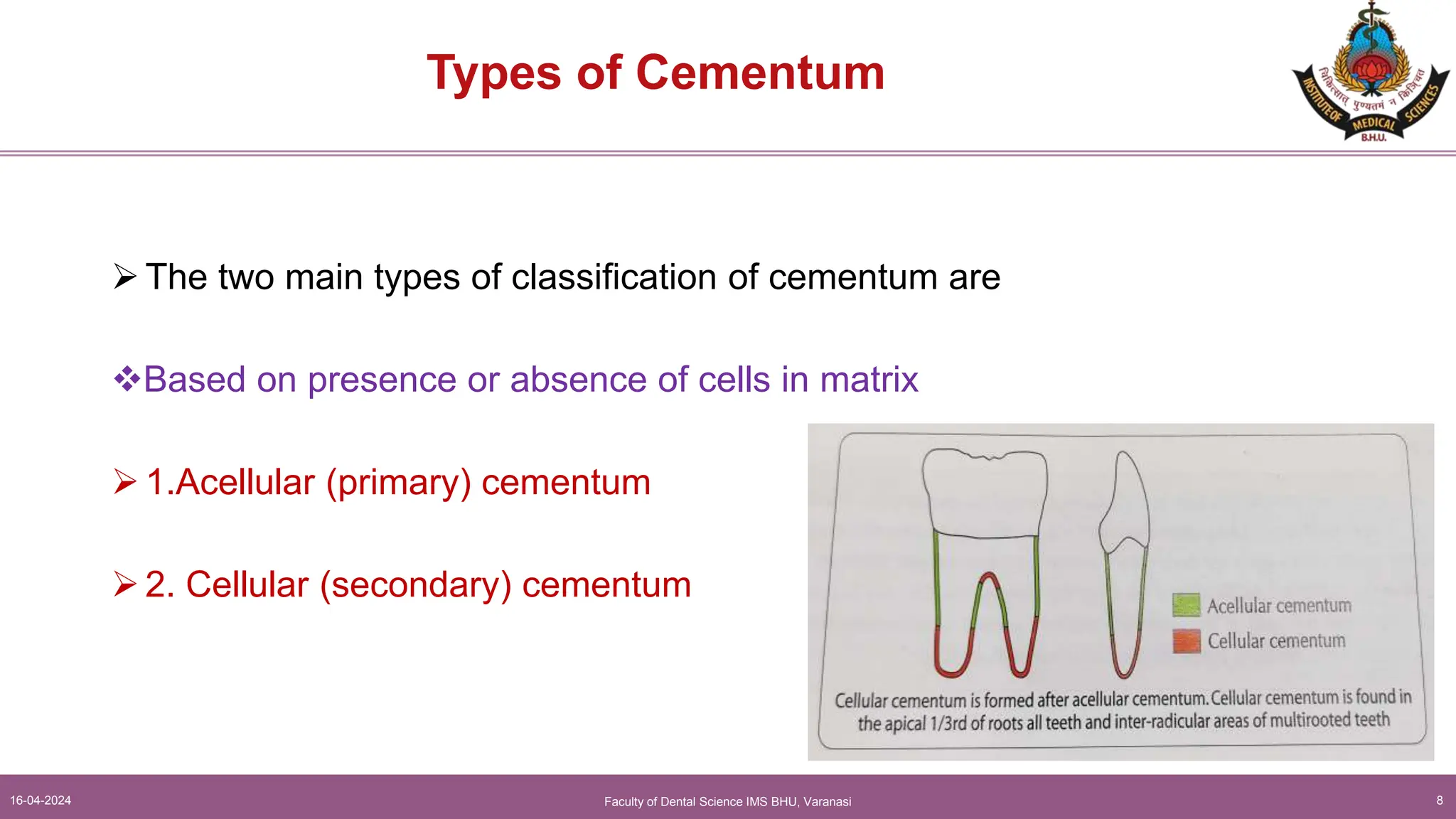 Cementum_Dhanraj_meena-17 09 23 (1).pptx