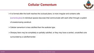 Cementum_Dhanraj_meena-17 09 23 (1).pptx