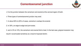 Cementum_Dhanraj_meena-17 09 23 (1).pptx