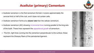 Cementum_Dhanraj_meena-17 09 23 (1).pptx