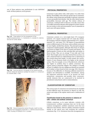 Cementum elsevier | PDF