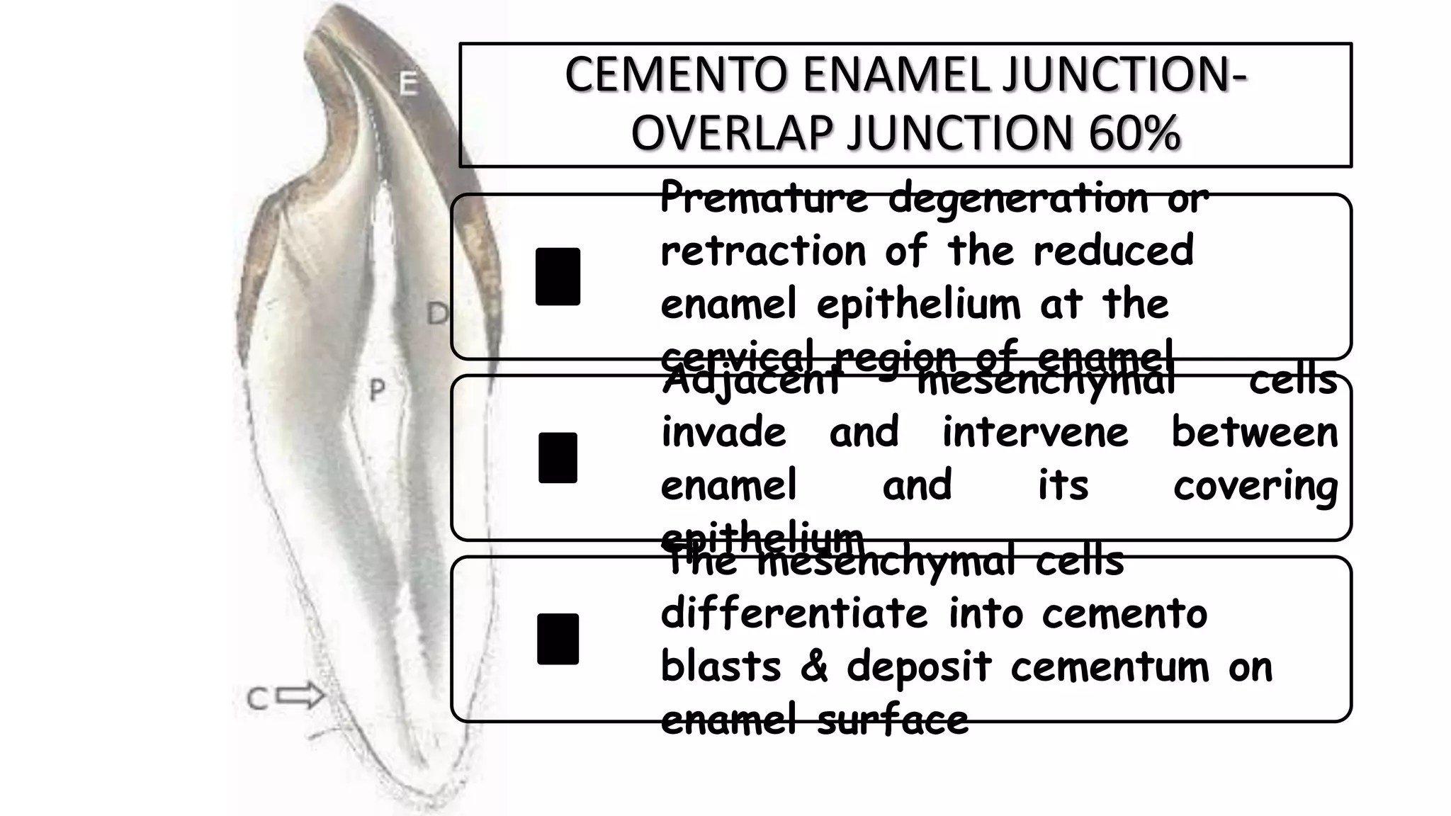 CEMENTUM final.pptx