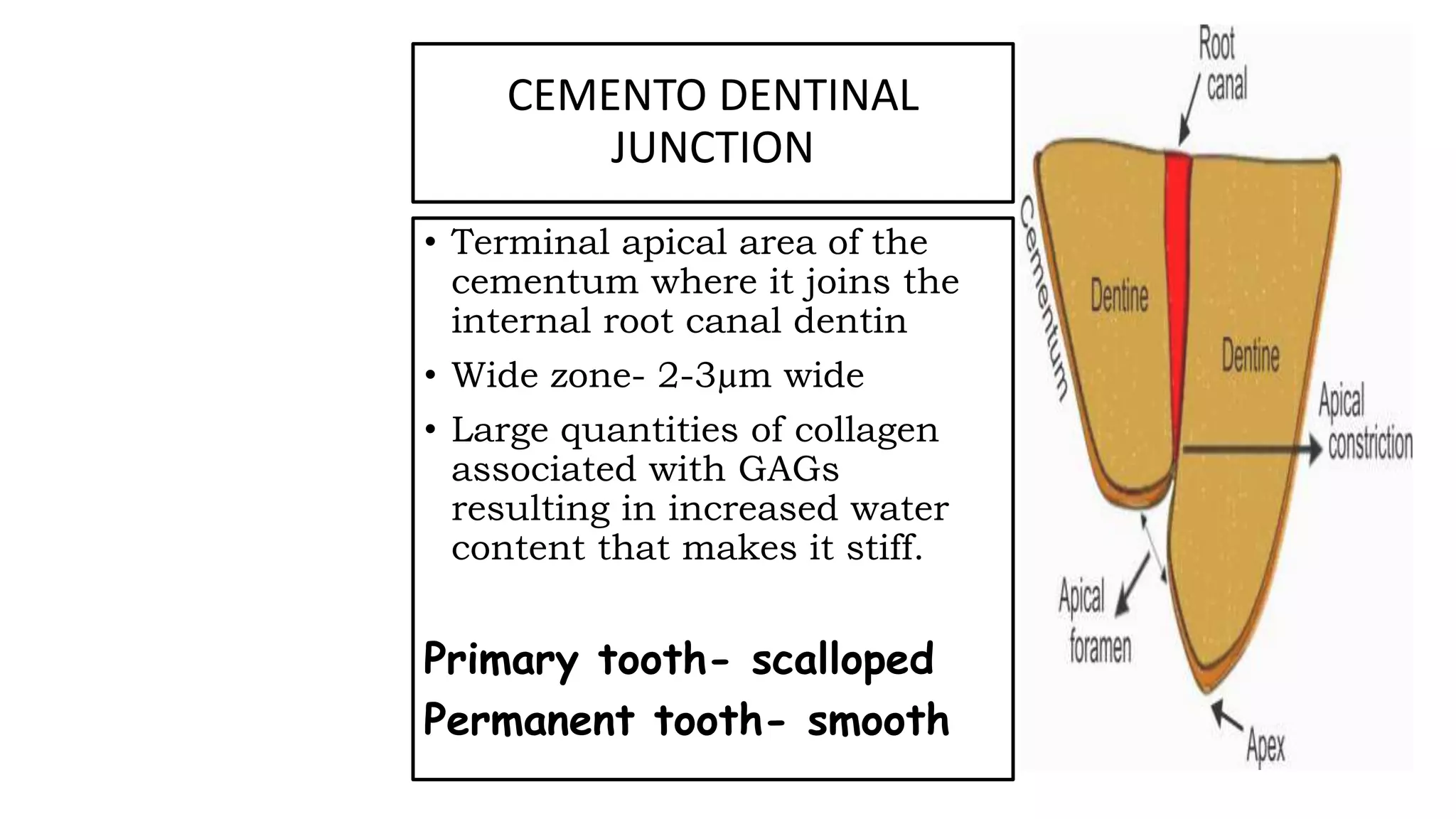 CEMENTUM final.pptx