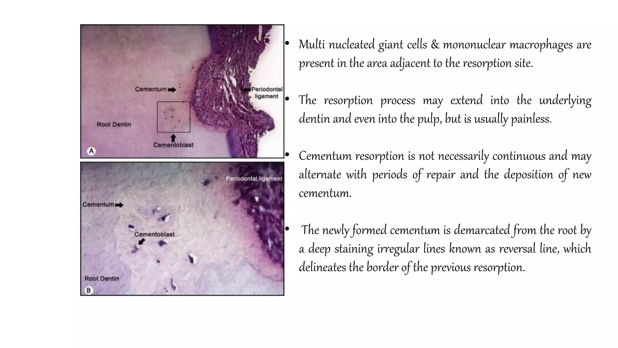 CEMENTUM final.pptx
