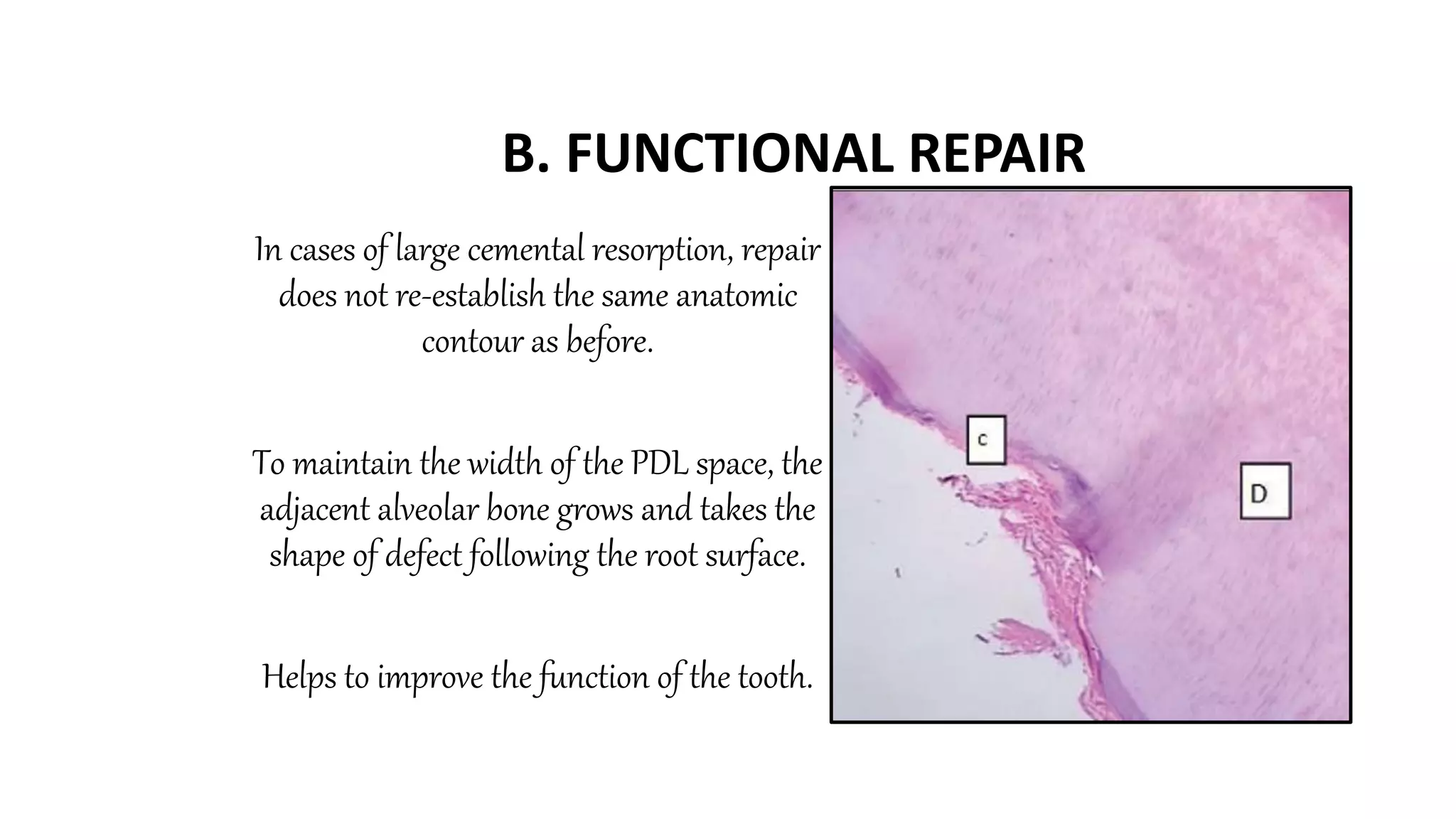 CEMENTUM final.pptx