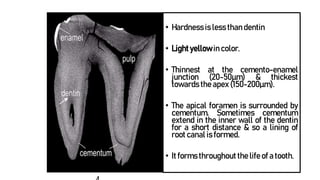 CEMENTUM final.pptx