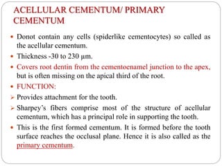 Cementum | PPTX