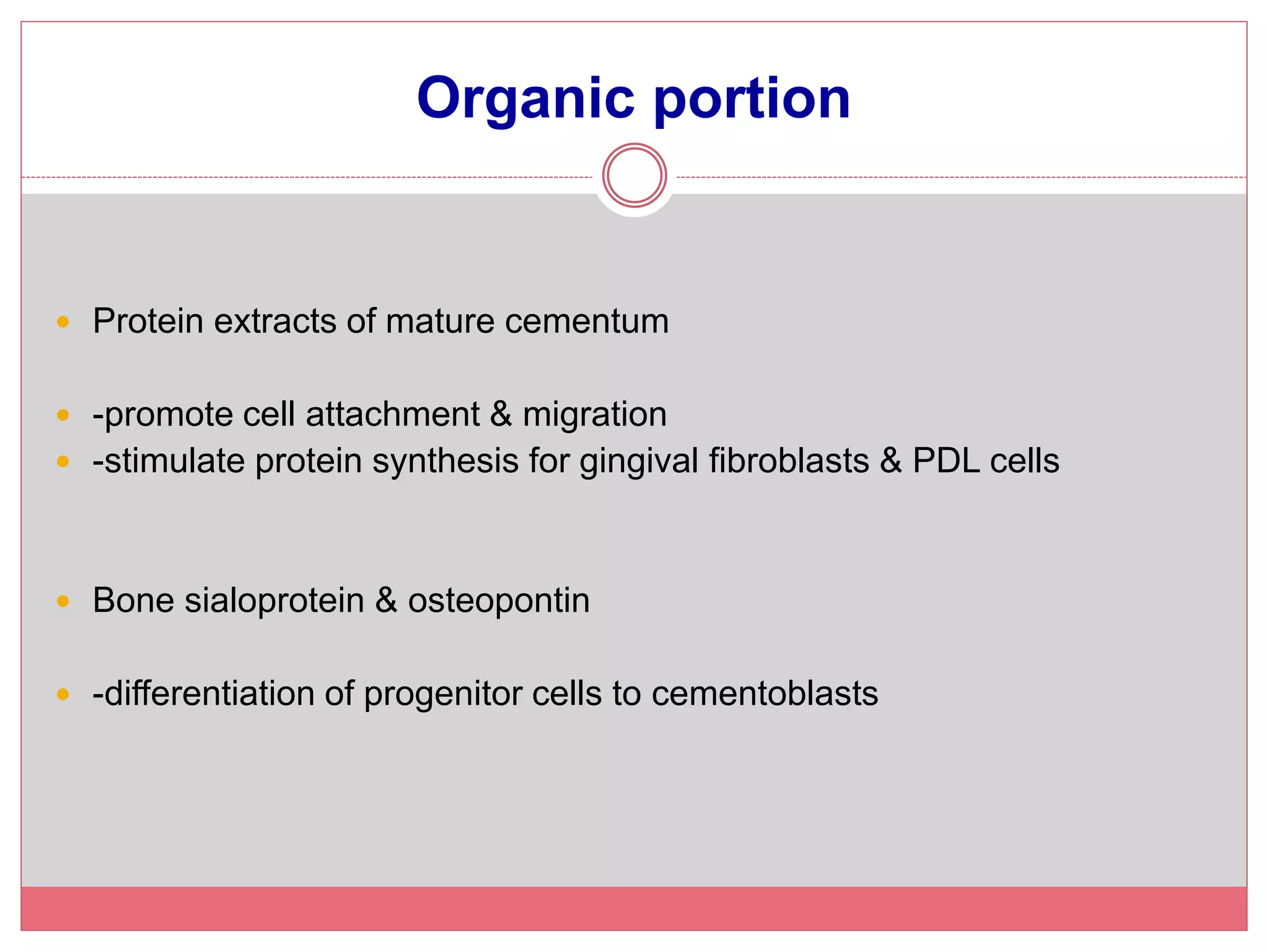 Cementum | PPTX