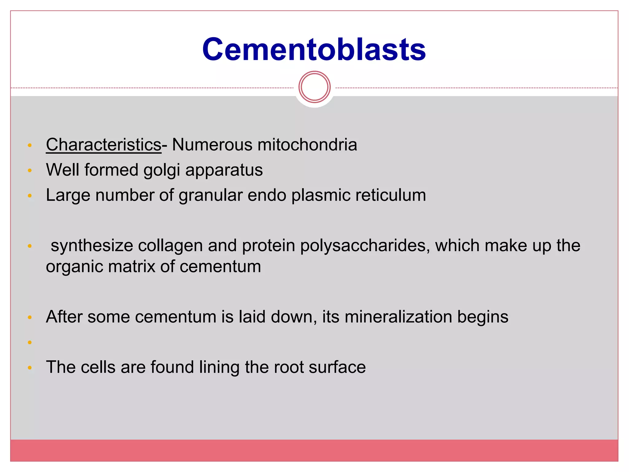 Cementum | PPTX
