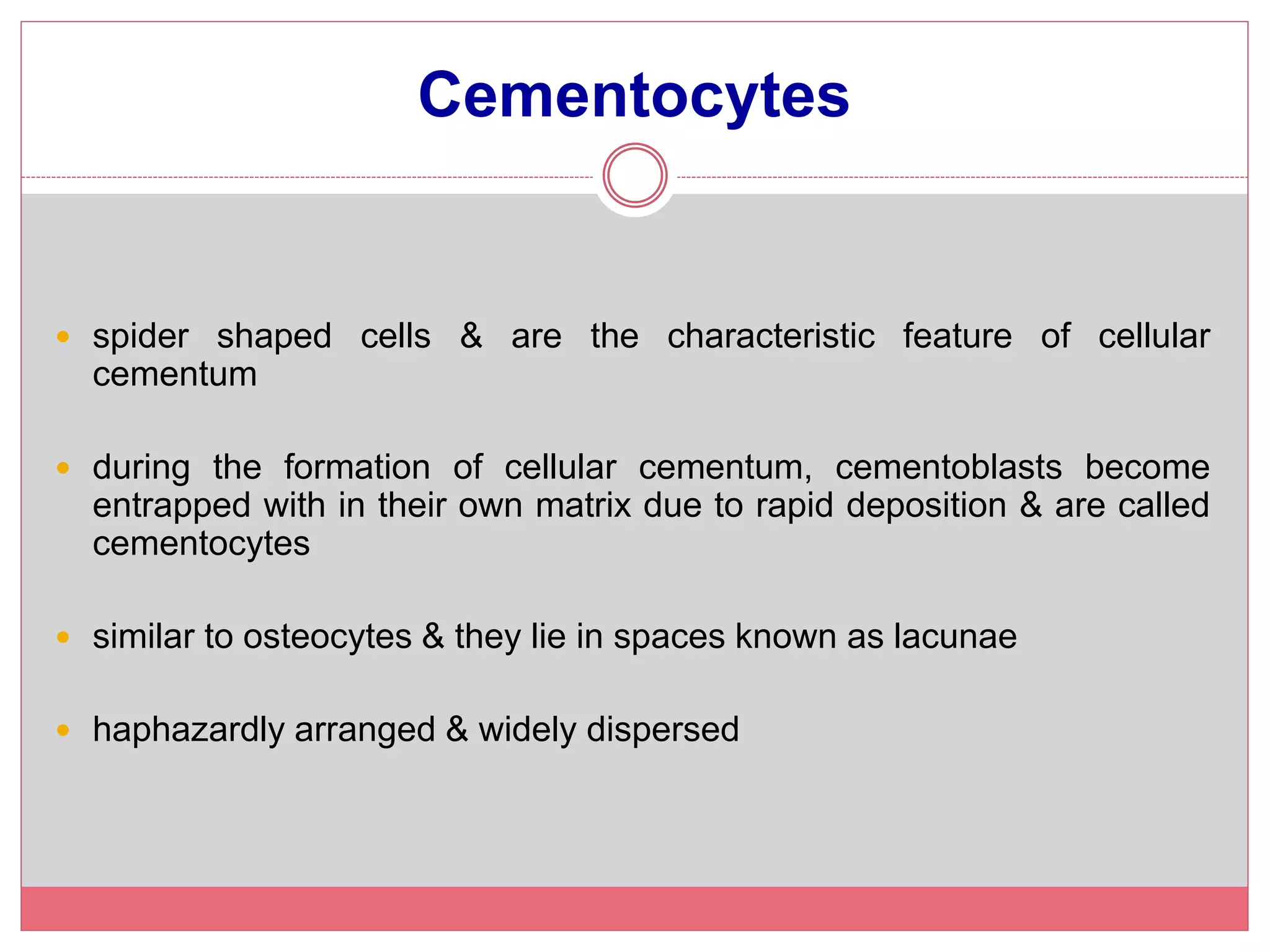 Cementum | PPTX