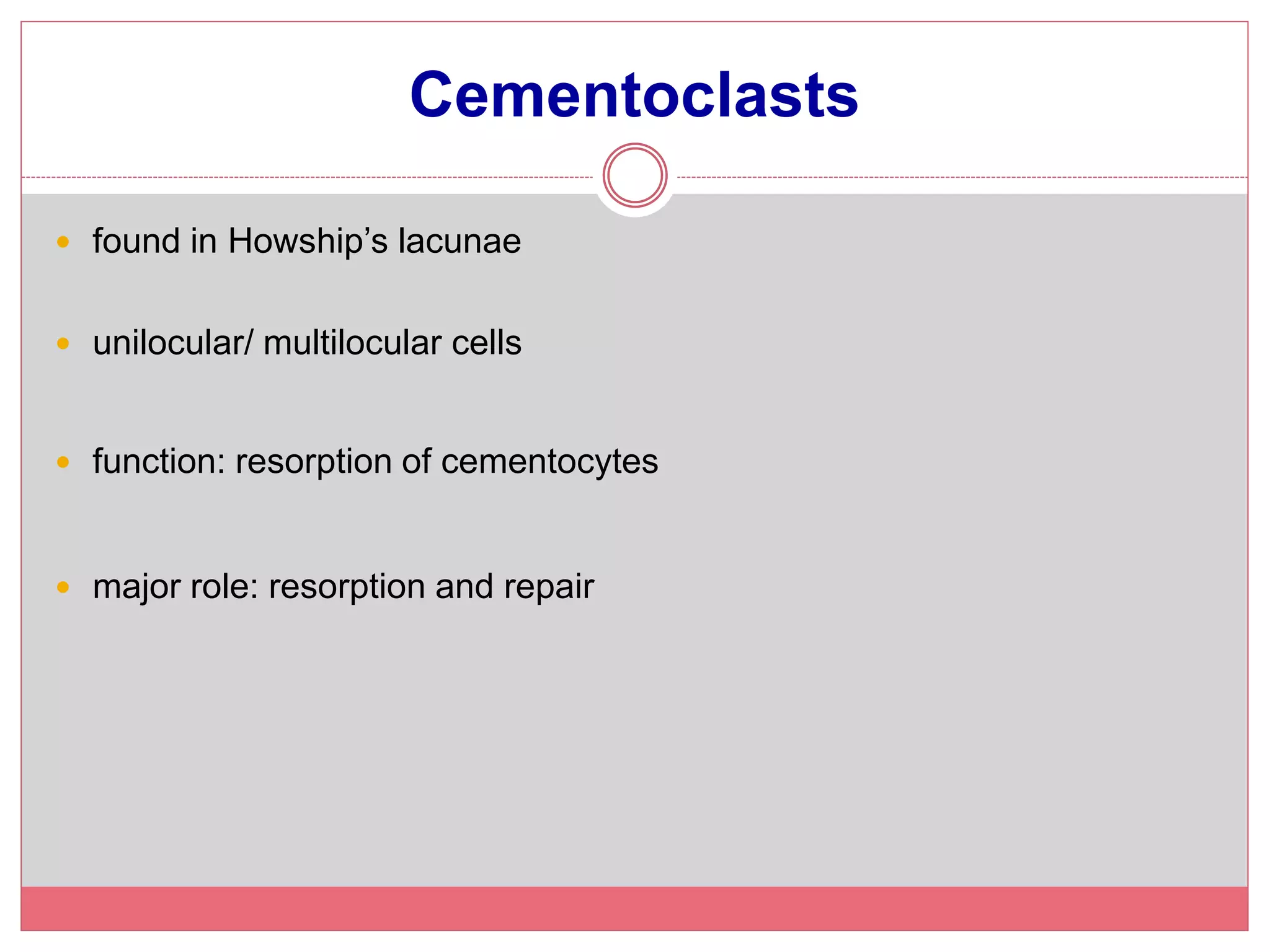 Cementum | PPTX