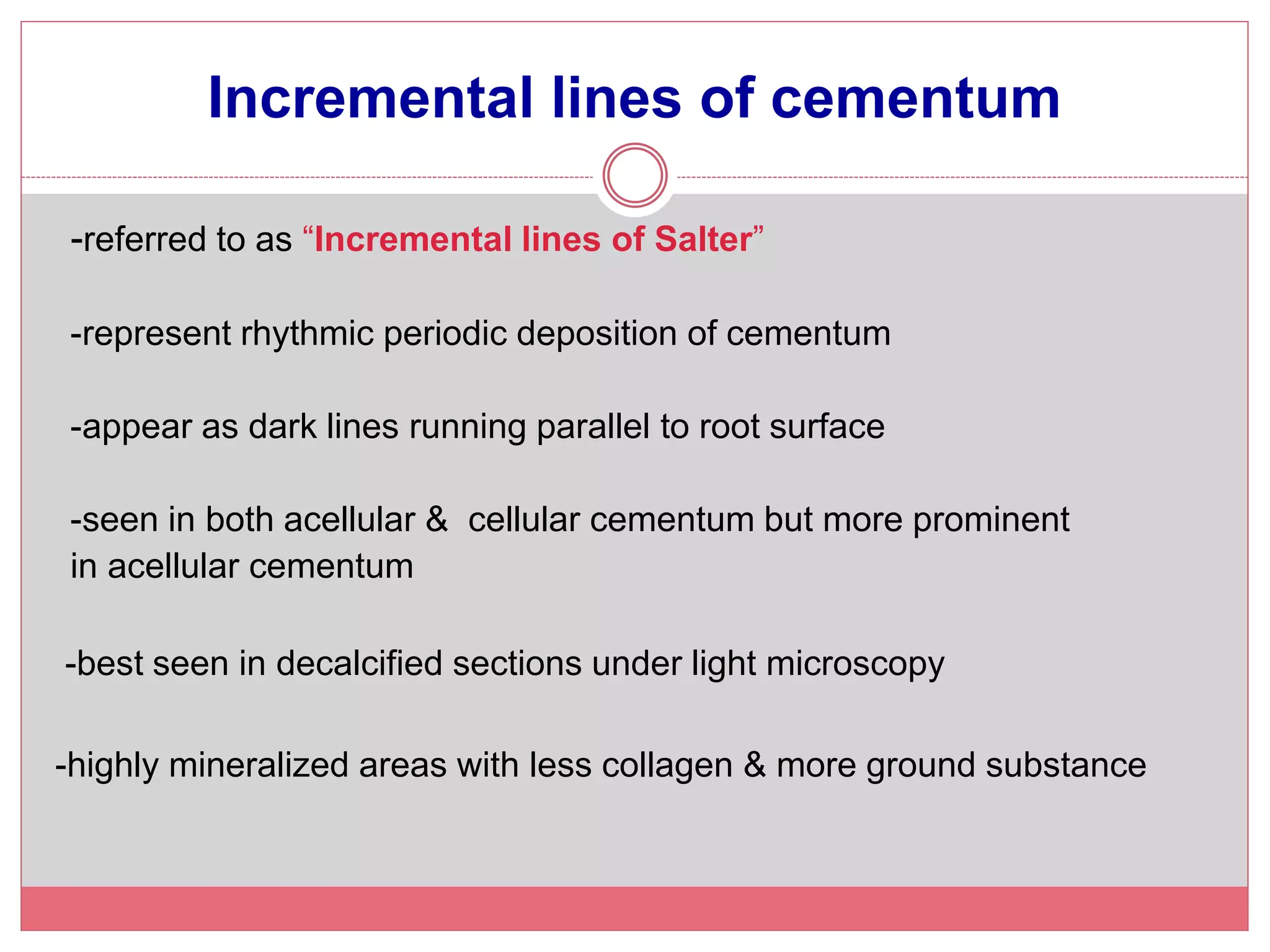 Cementum | PPTX