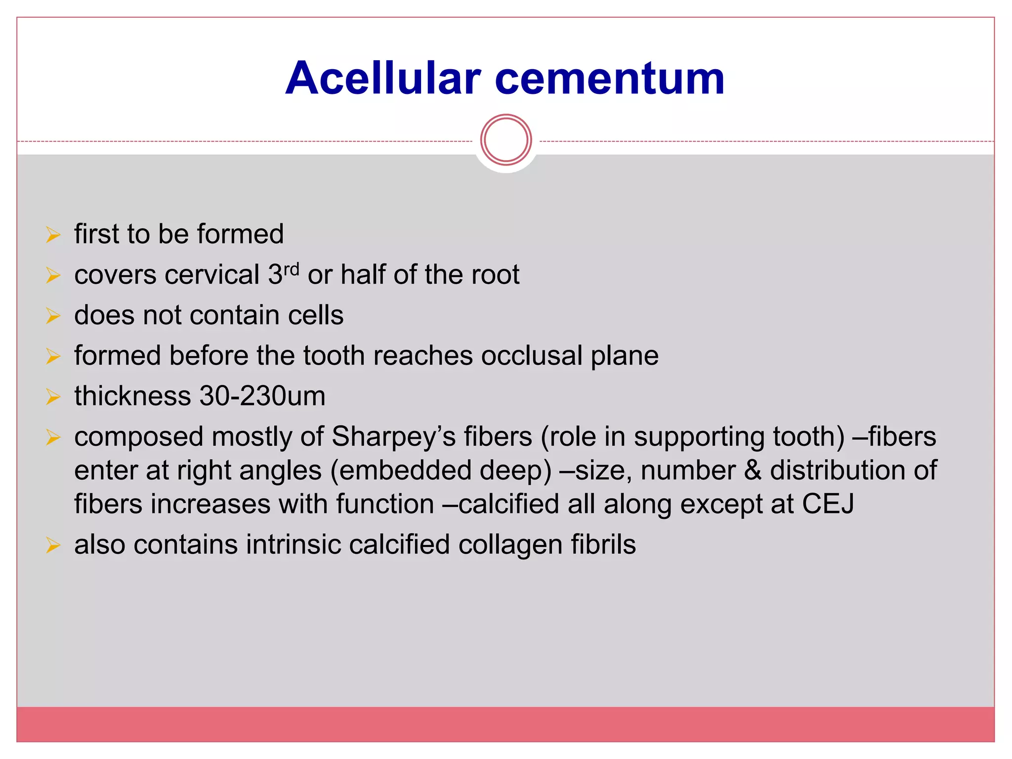 Cementum | PPTX