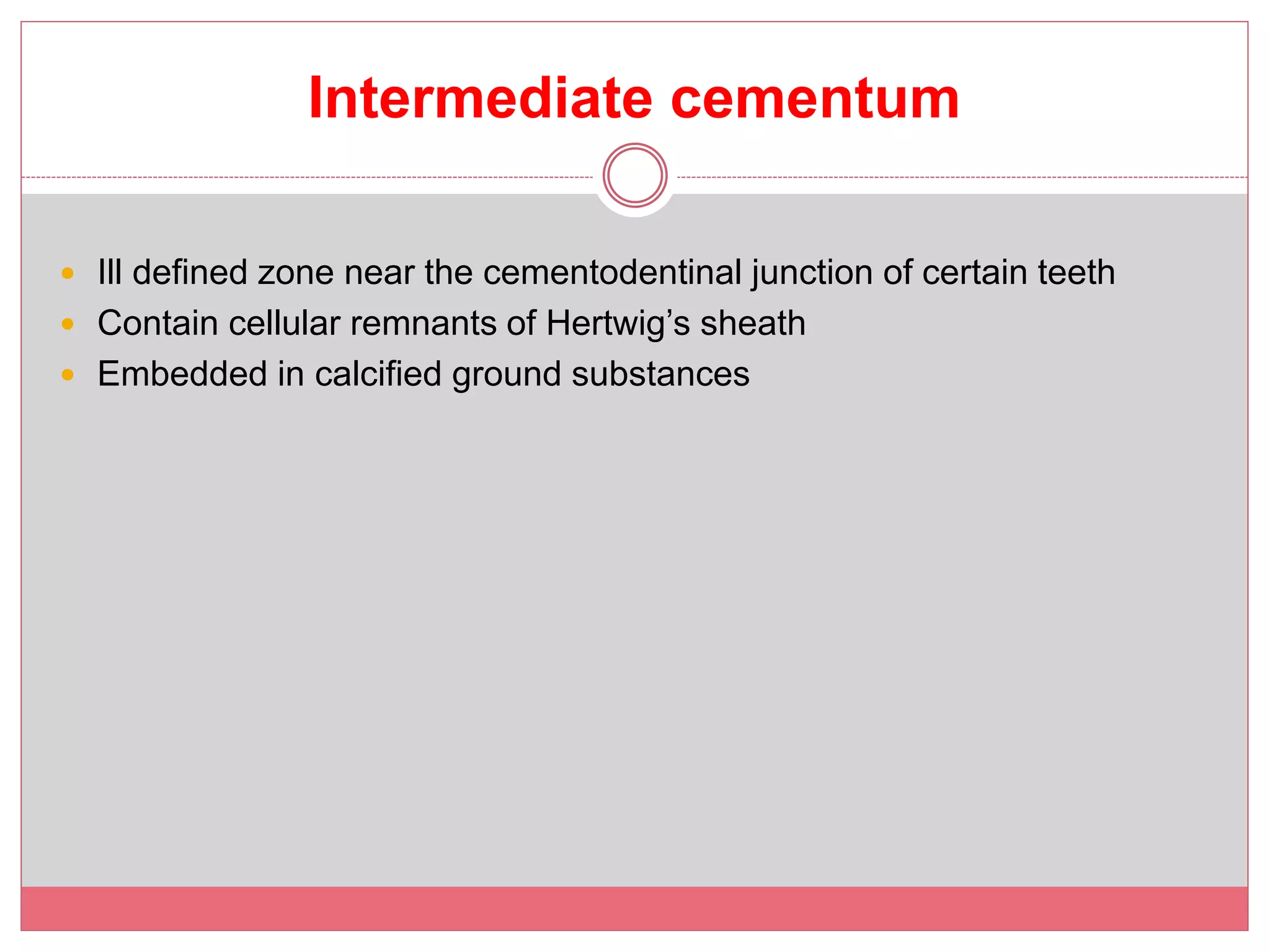 Cementum | PPTX