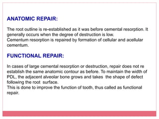 Cementum | PPTX