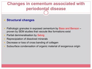 Cementum | PPTX