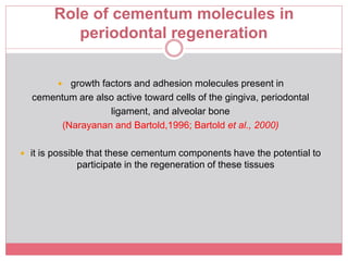 Cementum | PPTX
