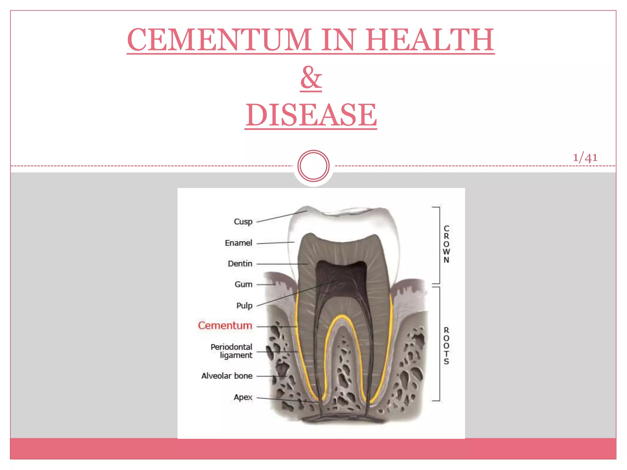 Cementum in health and disease | PPTX