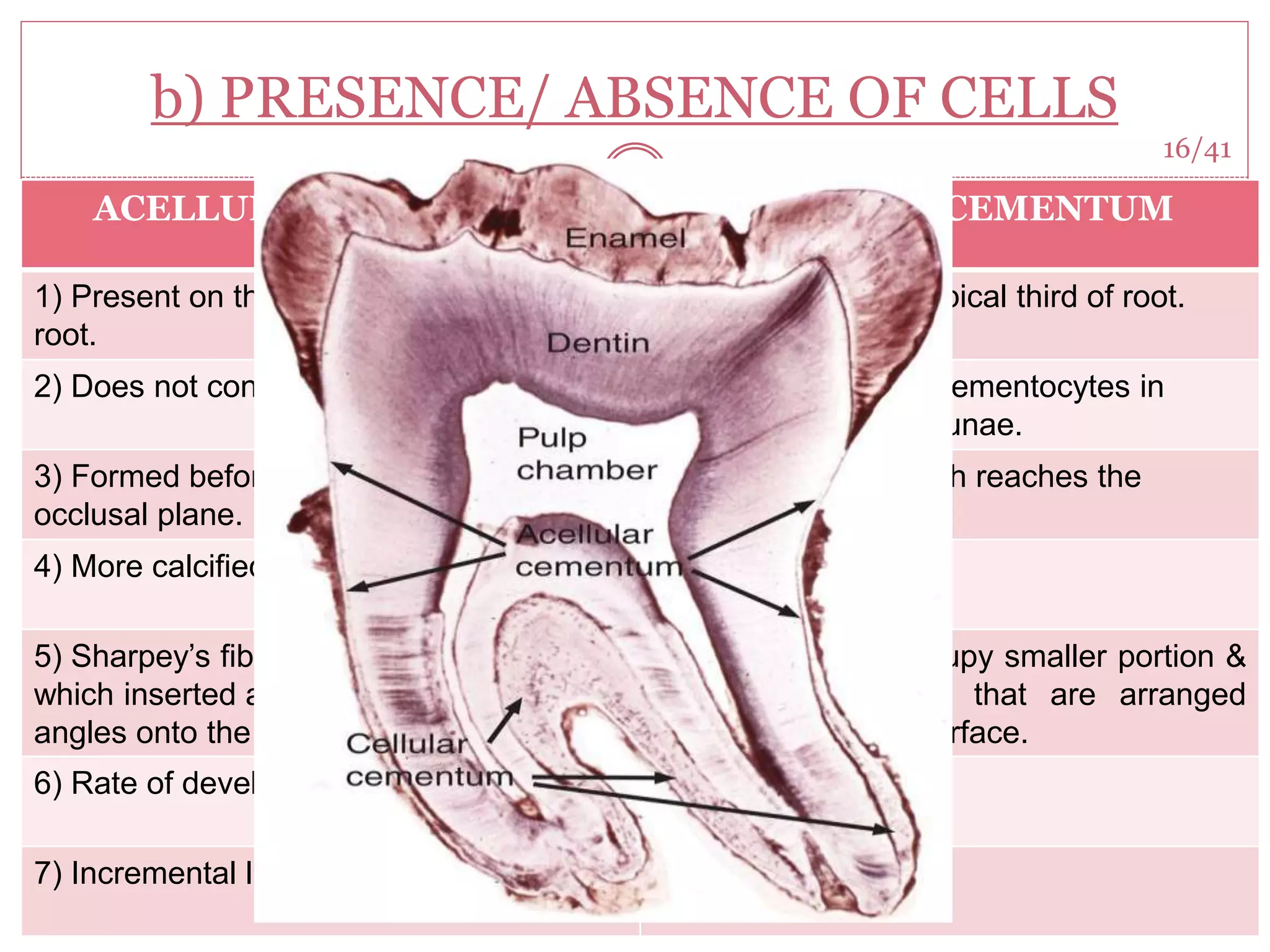 Cementum in health and disease | PPTX
