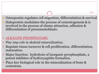 Cementum in health and disease | PPTX