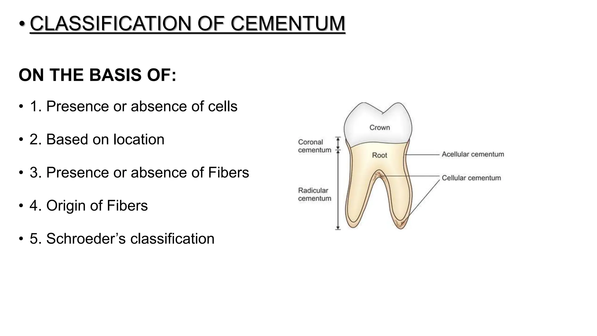 CEMENTUM IN HEALTH AND DISEASE.pptx