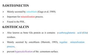 CEMENTUM IN HEALTH AND DISEASE.pptx