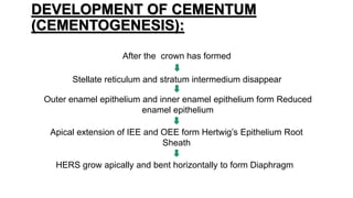 CEMENTUM IN HEALTH AND DISEASE.pptx
