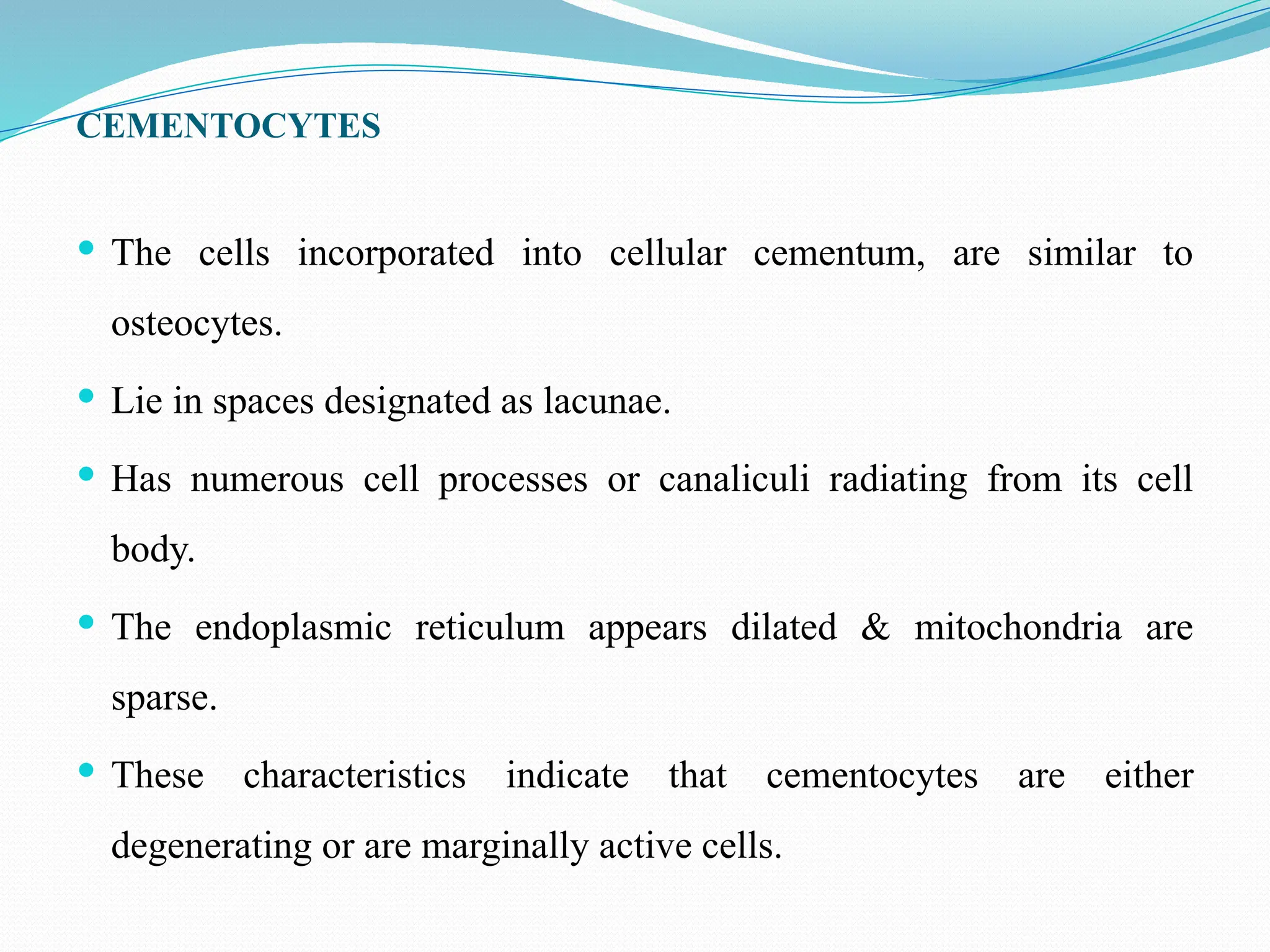 cementum in health and disease.pptx periodontology | PPTX